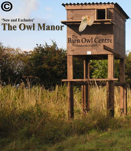 The Barn Owl Centre - News - The Barn Owl Centre is a UK registered ...